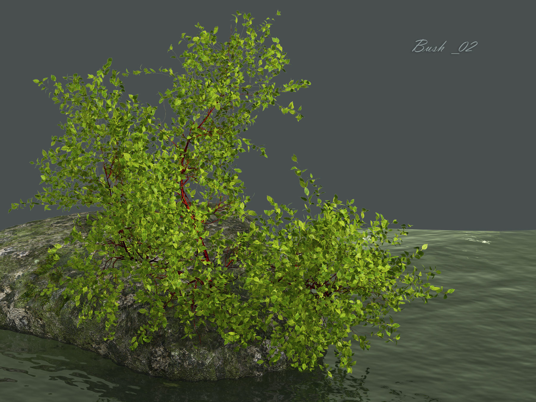 Bush over water 3D model | CGTrader