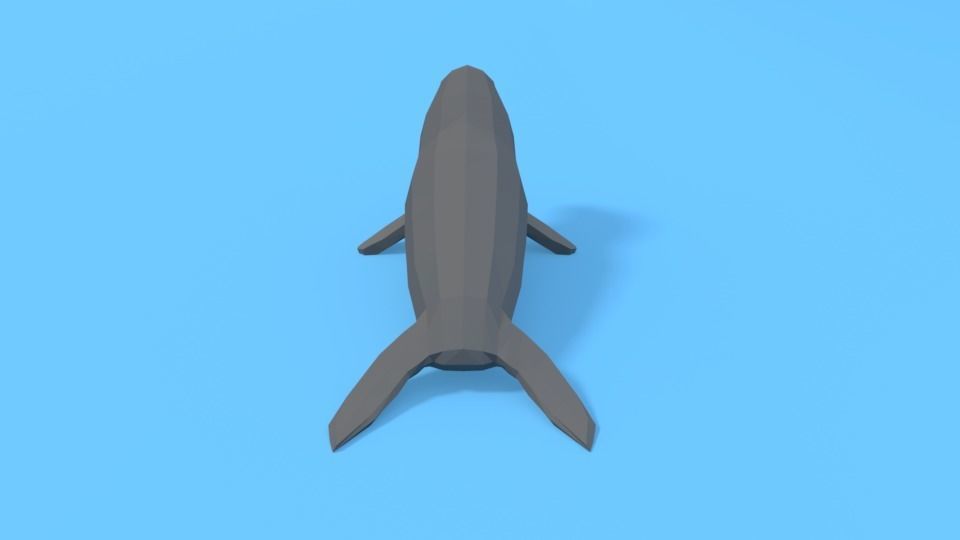 3D model Low Poly Cartoon Seal VR / AR / low-poly | CGTrader