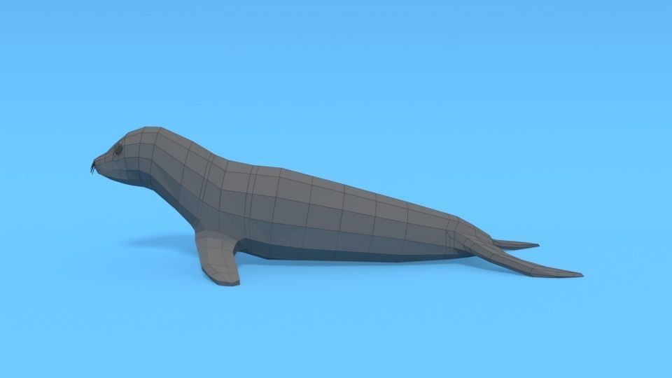 3D model Low Poly Cartoon Seal VR / AR / low-poly | CGTrader