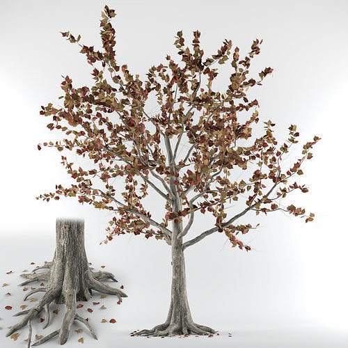 Tree-autumn tree with roots and leaves free 3D model | CGTrader