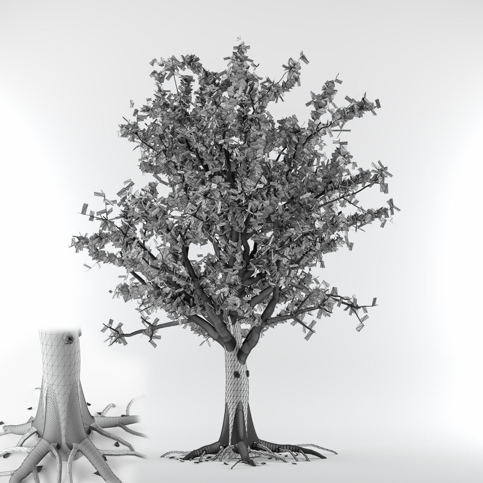 Pin cherry Tree free 3D model | CGTrader