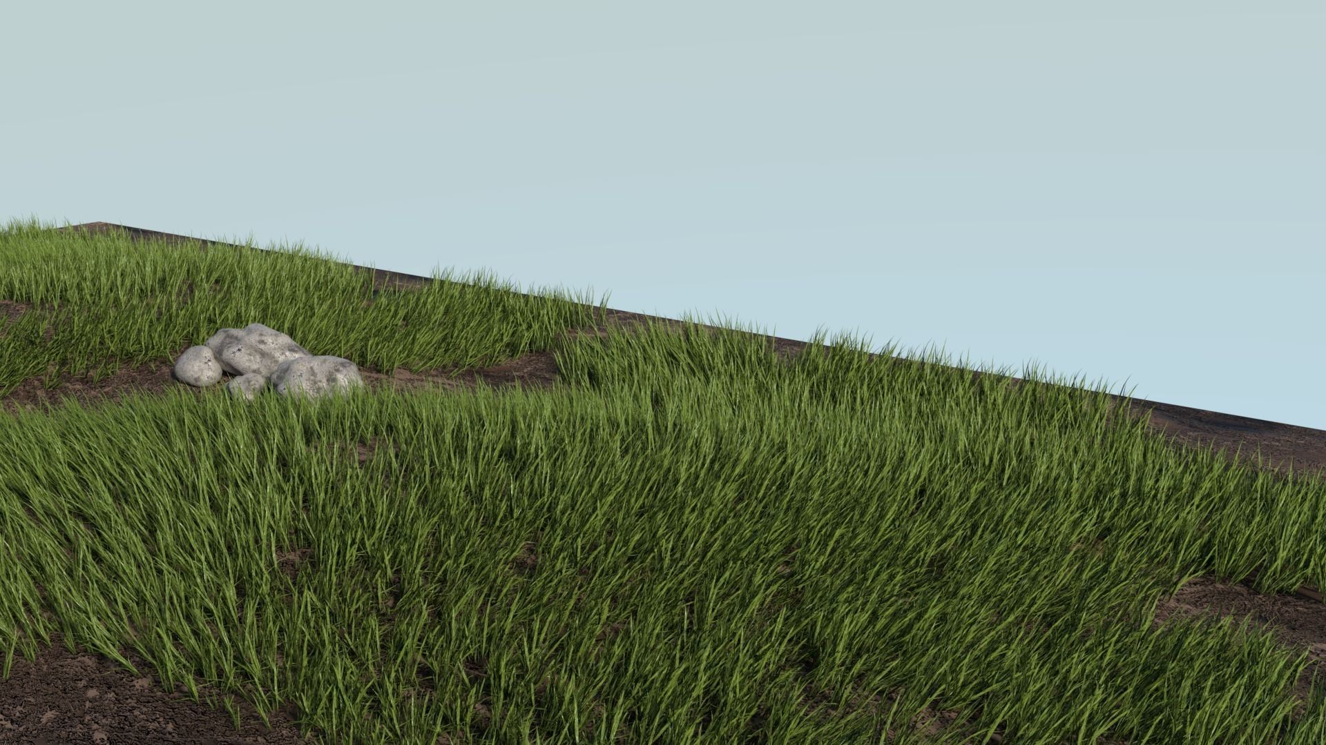 GRASS FIELD 3D model | CGTrader