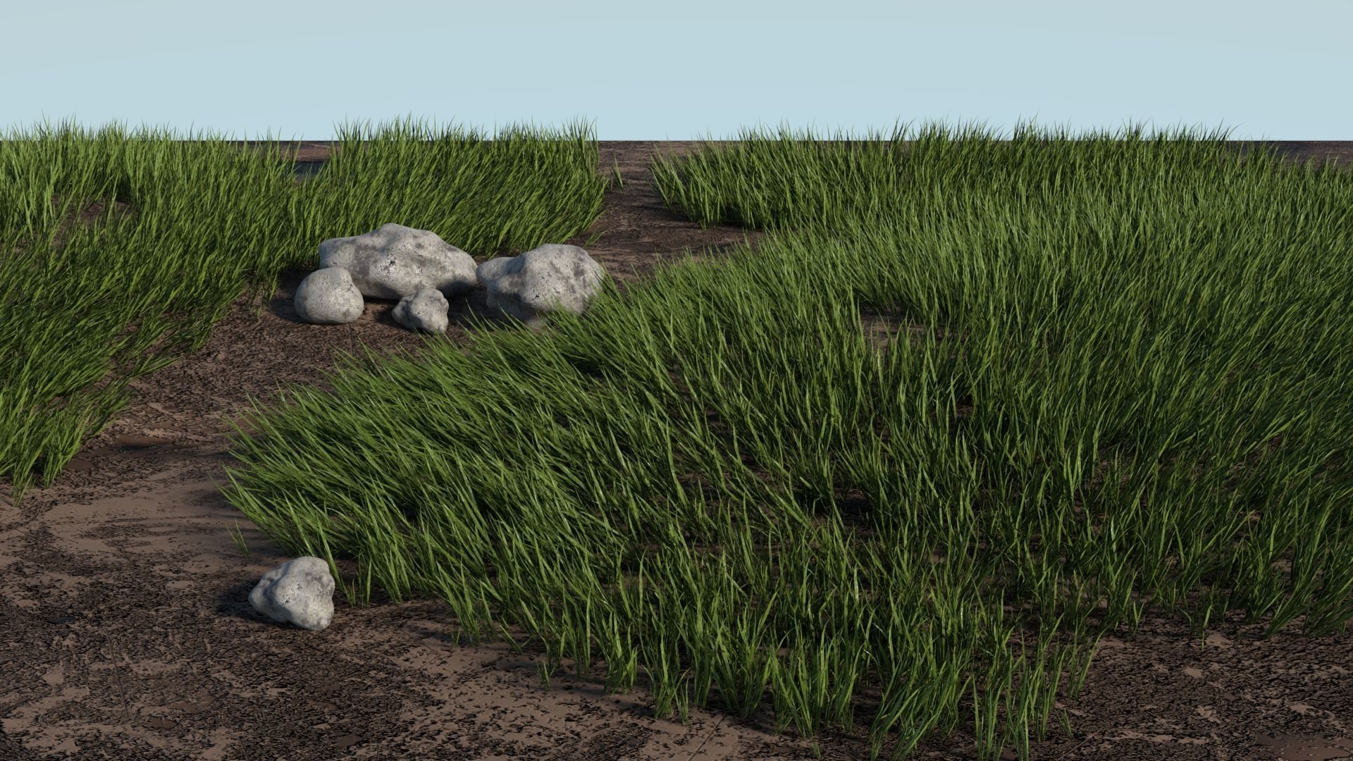 GRASS FIELD 3D model | CGTrader