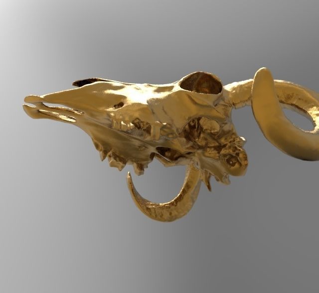 ram skull for 3D print 3D model 3D printable | CGTrader