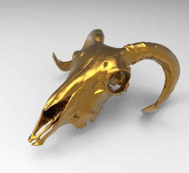 ram skull for 3D print 3D model 3D printable | CGTrader