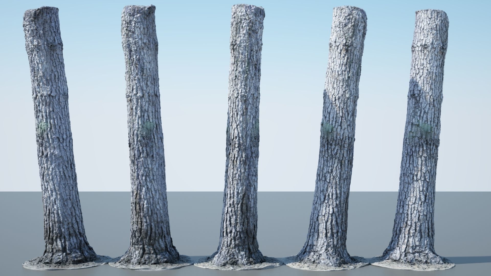 Tree Trunk - 08 3D model | CGTrader