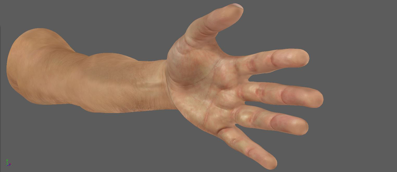 high resolution hand ready for close shoots 3D model | CGTrader
