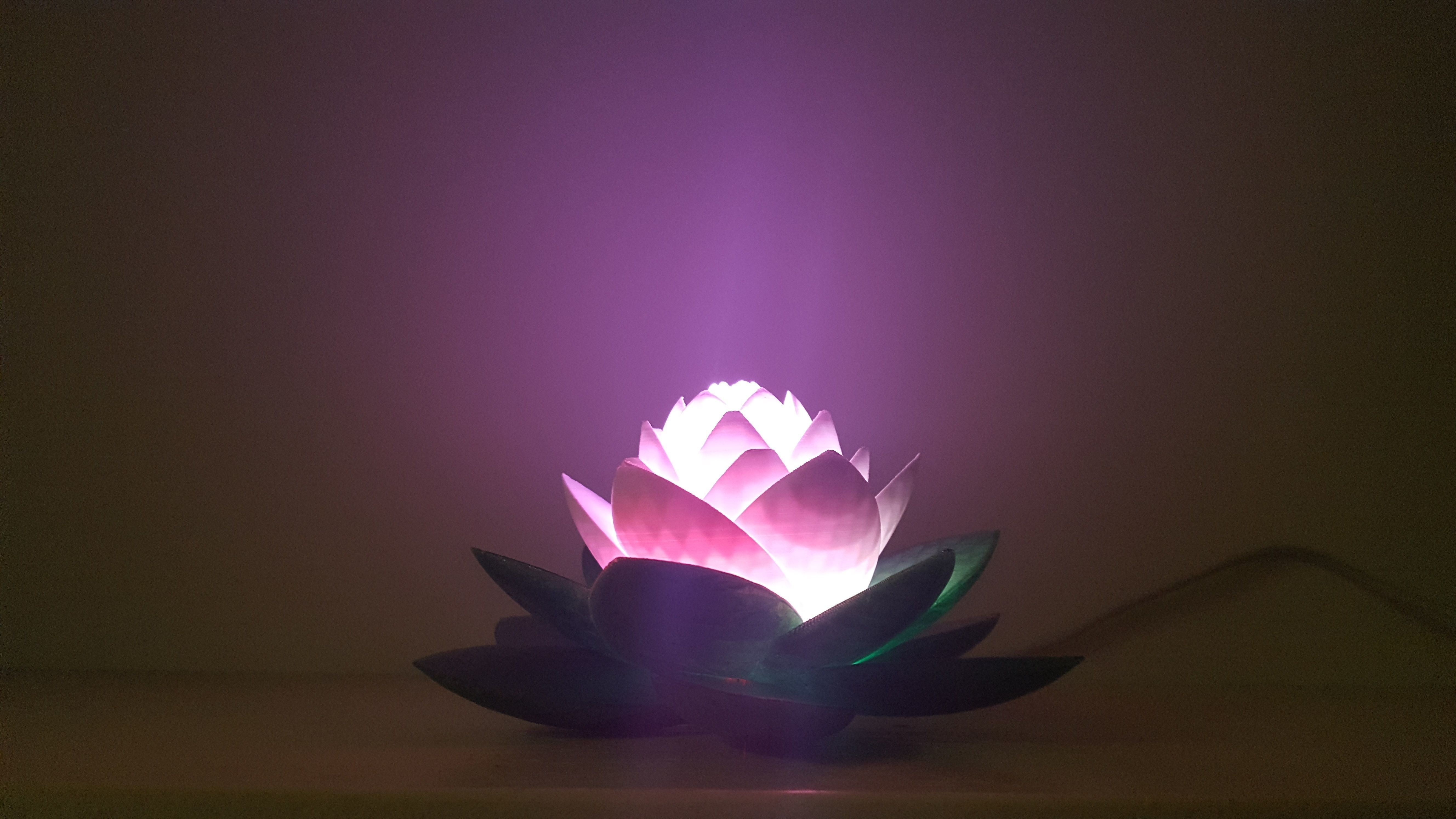 Lotus Lamp free 3D model 3D printable | CGTrader