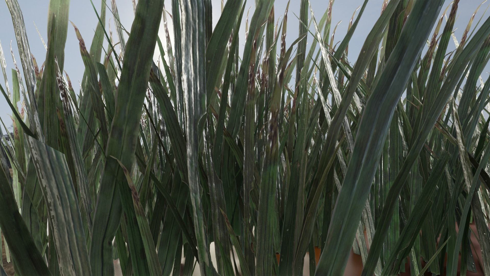 ULTRA REALISTIC GRASS FOLIAGE free VR / AR / low-poly 3D model | CGTrader