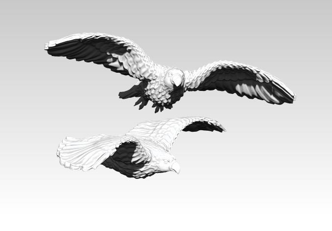 American Flying Bird Eagle Hawk Detailed 3D model 3D printable | CGTrader