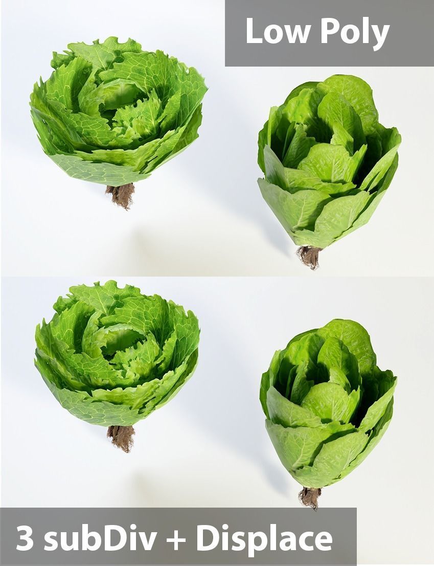3D model 2 Lettuce - Low Poly two cabbages VR / AR / low-poly | CGTrader