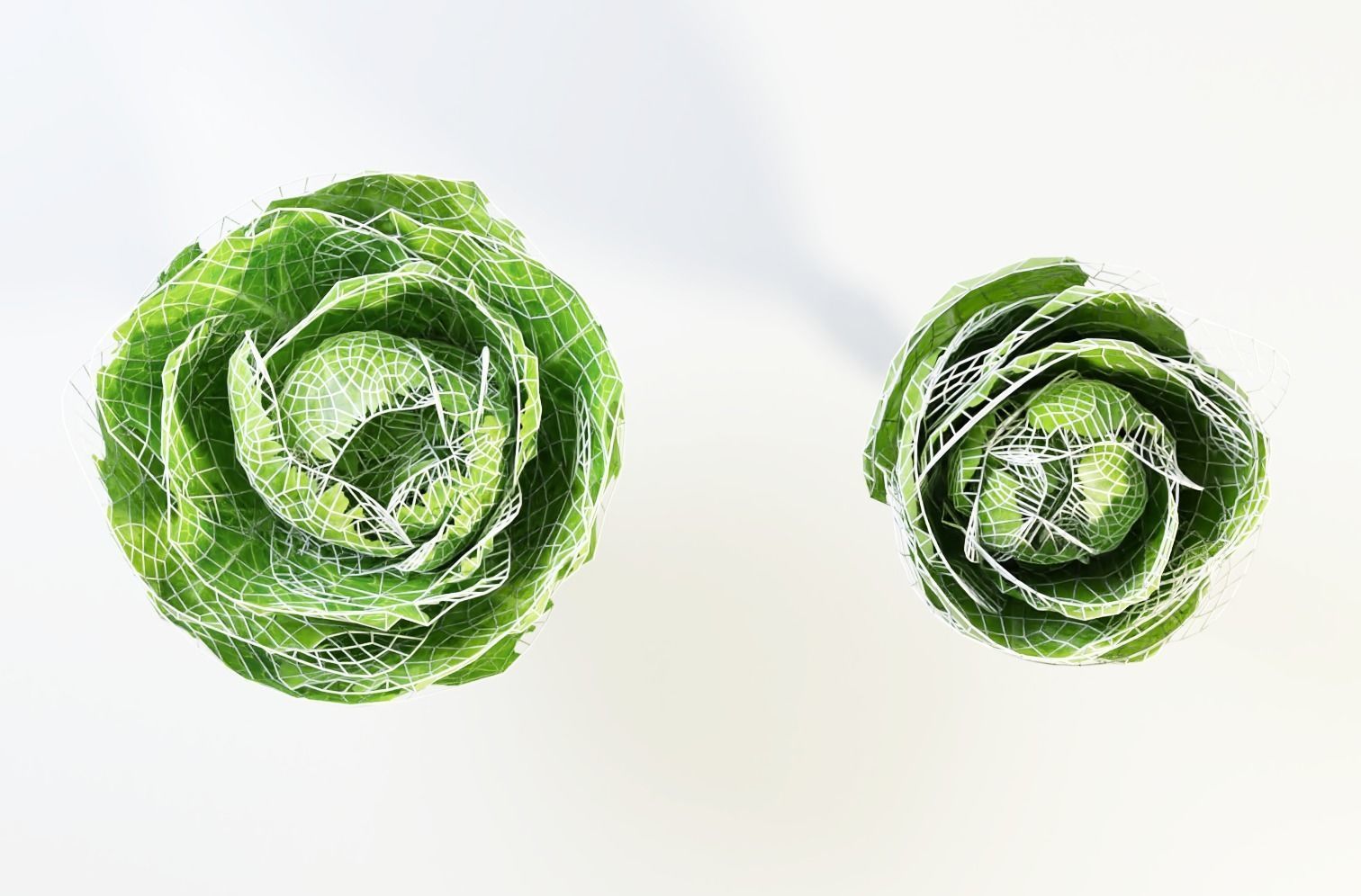 3D model 2 Lettuce - Low Poly VR / AR / low-poly | CGTrader