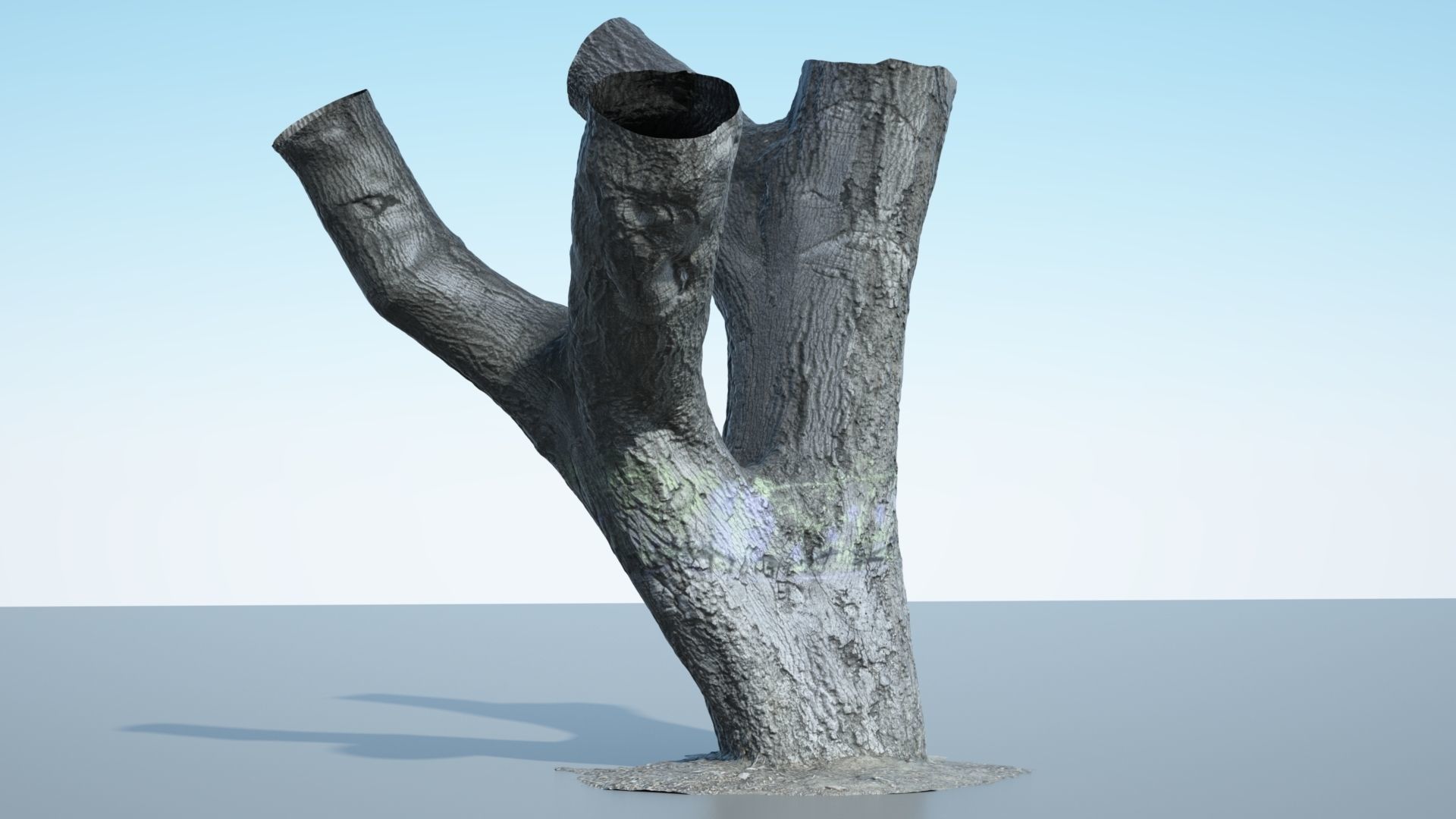 Tree Trunk - 10 3D model | CGTrader