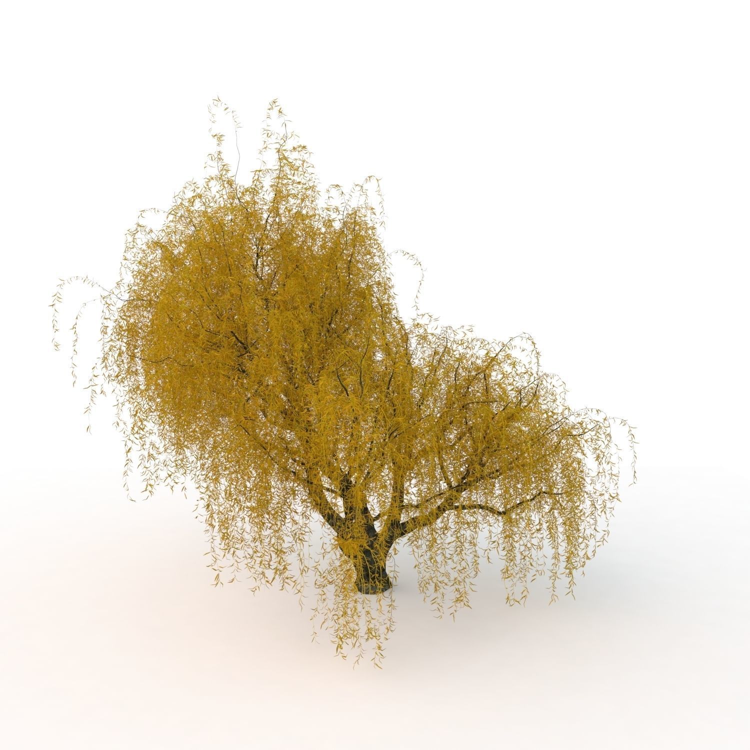 willow trees 3D Model Collection | CGTrader