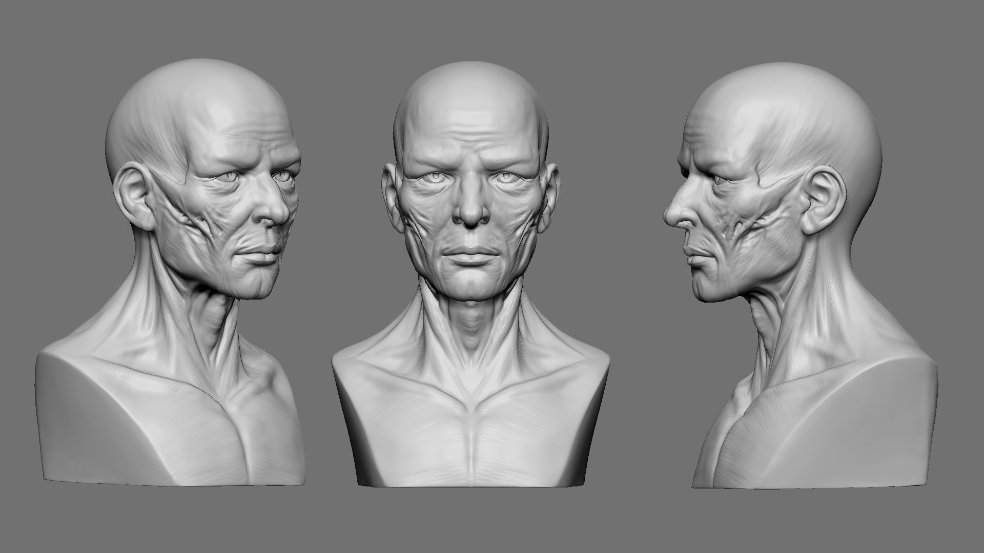 Stylized Anatomy Face 3D model 3D printable | CGTrader