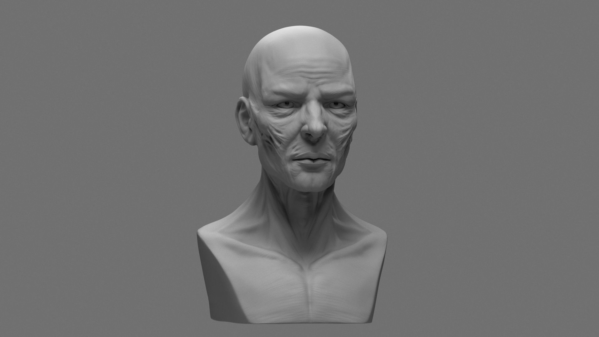 Stylized Anatomy Face 3D model 3D printable | CGTrader