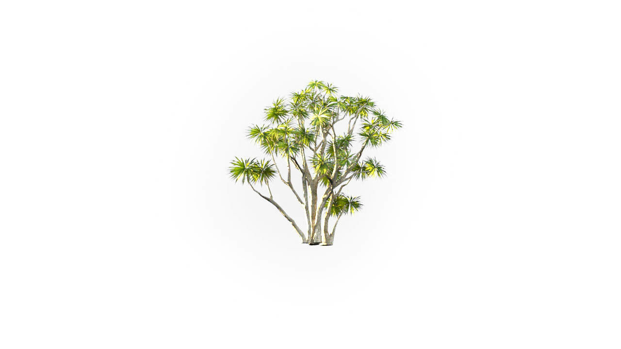 3D model Low Poly Bush Tree Stylish VR / AR / low-poly | CGTrader