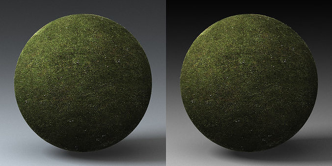 Grass Landscape Shader 002 Texture | CGTrader