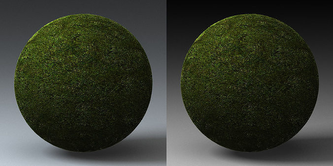 Grass Landscape Shader 025 Texture | CGTrader