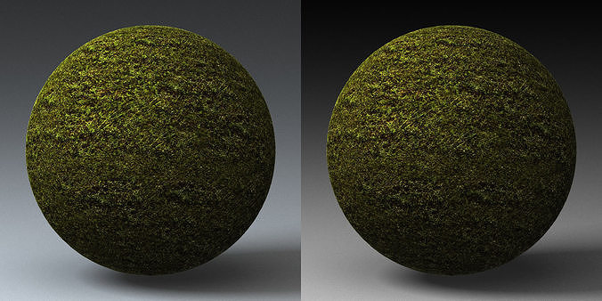 Grass Landscape Shader 030 Texture | CGTrader
