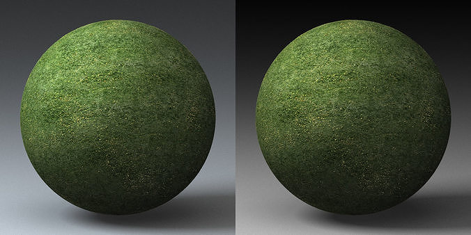 Grass Landscape Shader 035 Texture | CGTrader