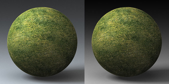 Grass Landscape Shader 036 Texture | CGTrader