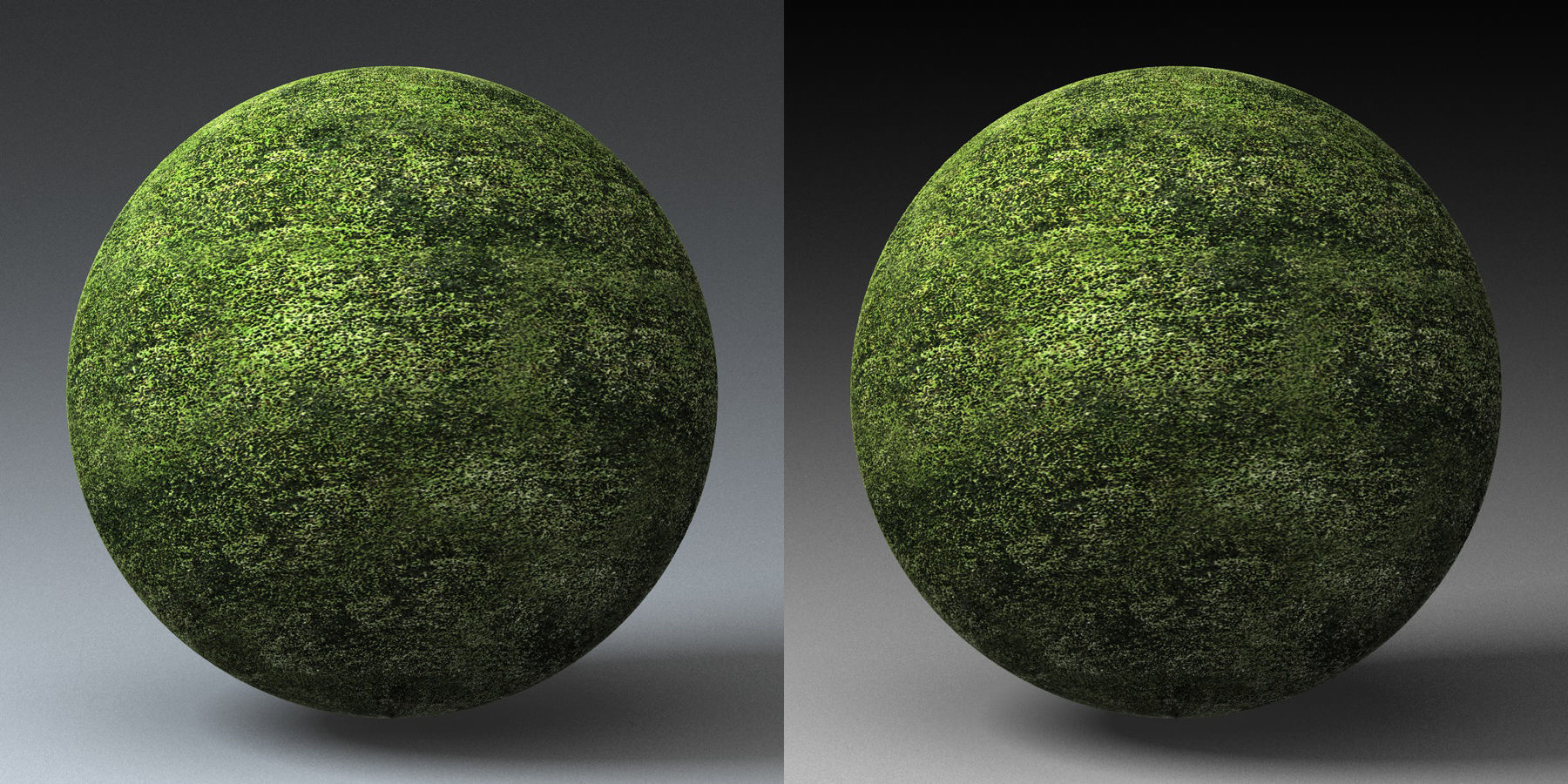 Grass Landscape Shader 037 Texture | CGTrader