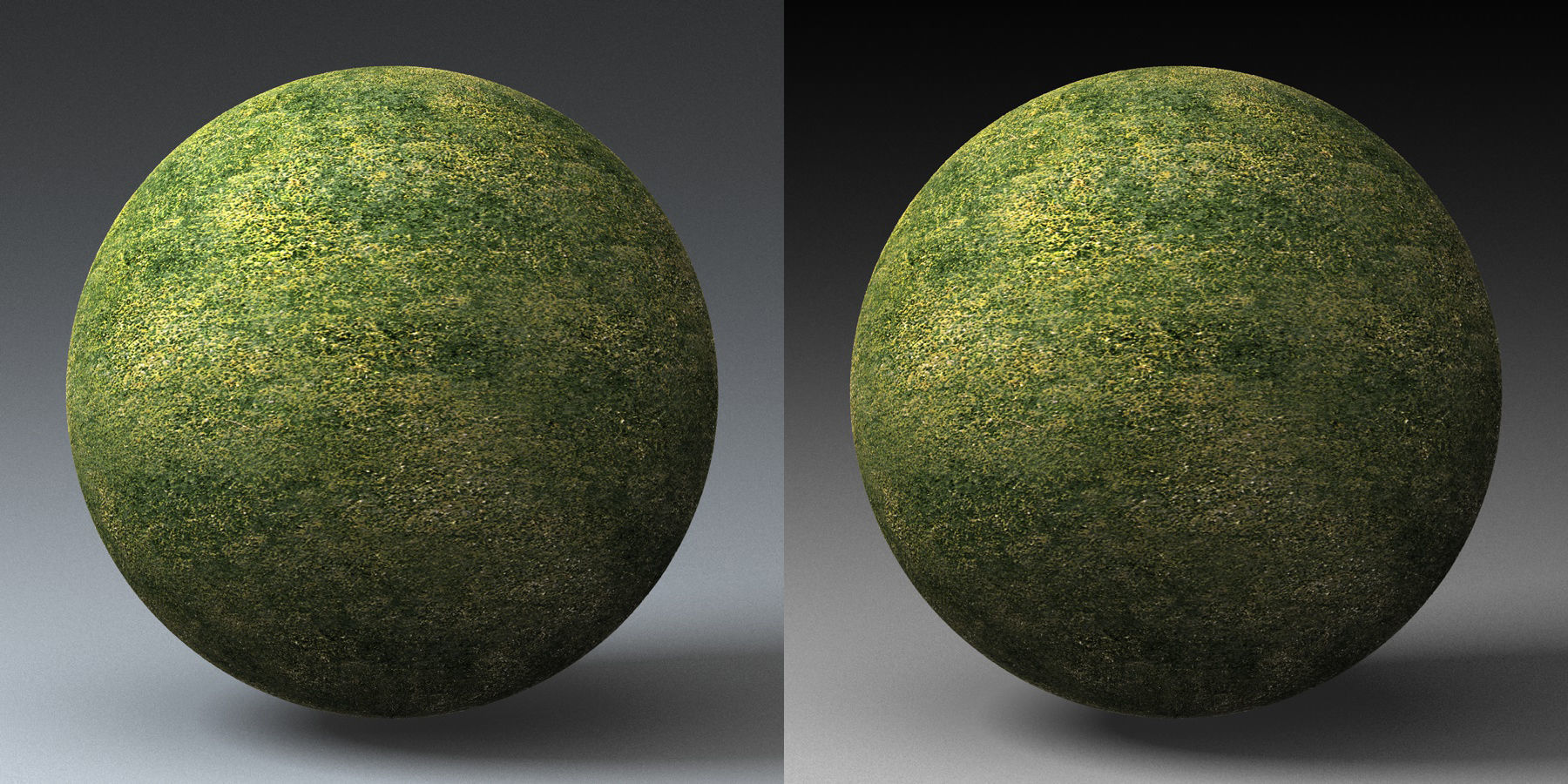 Grass Landscape Shader 3D Model Collection | CGTrader
