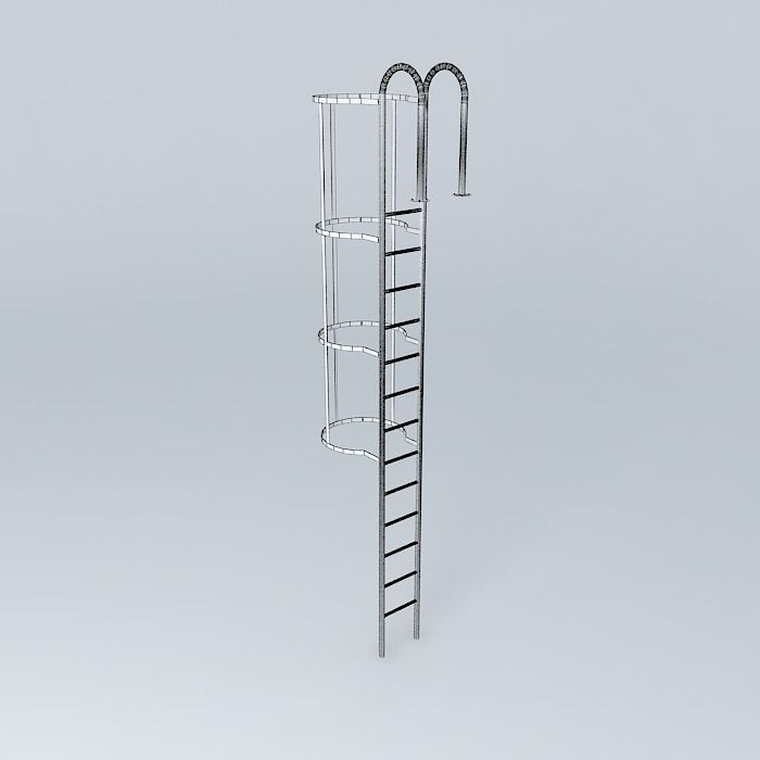 Ladder with safety railing free 3D model | CGTrader