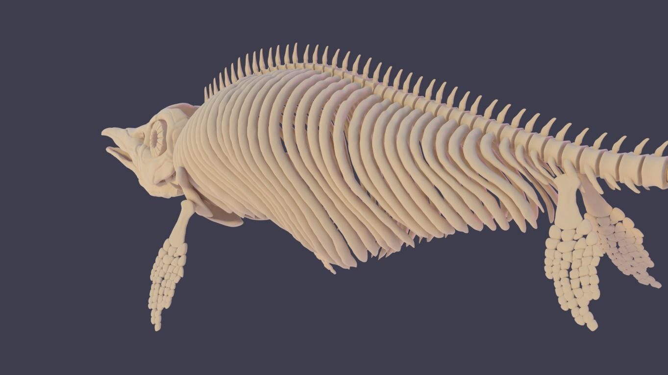 Ichthyosaurus 3D model 3D printable | CGTrader