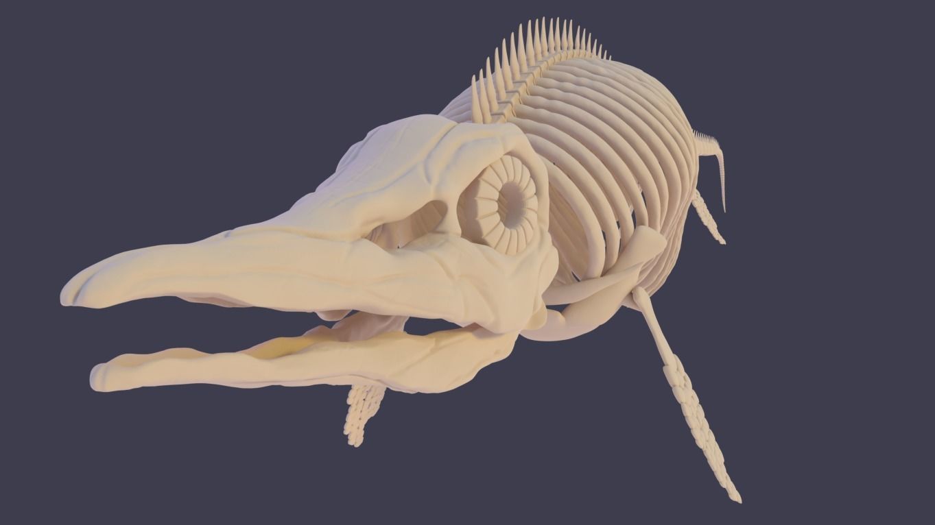 Ichthyosaurus crocodile skeleton 3D model 3D printable | CGTrader