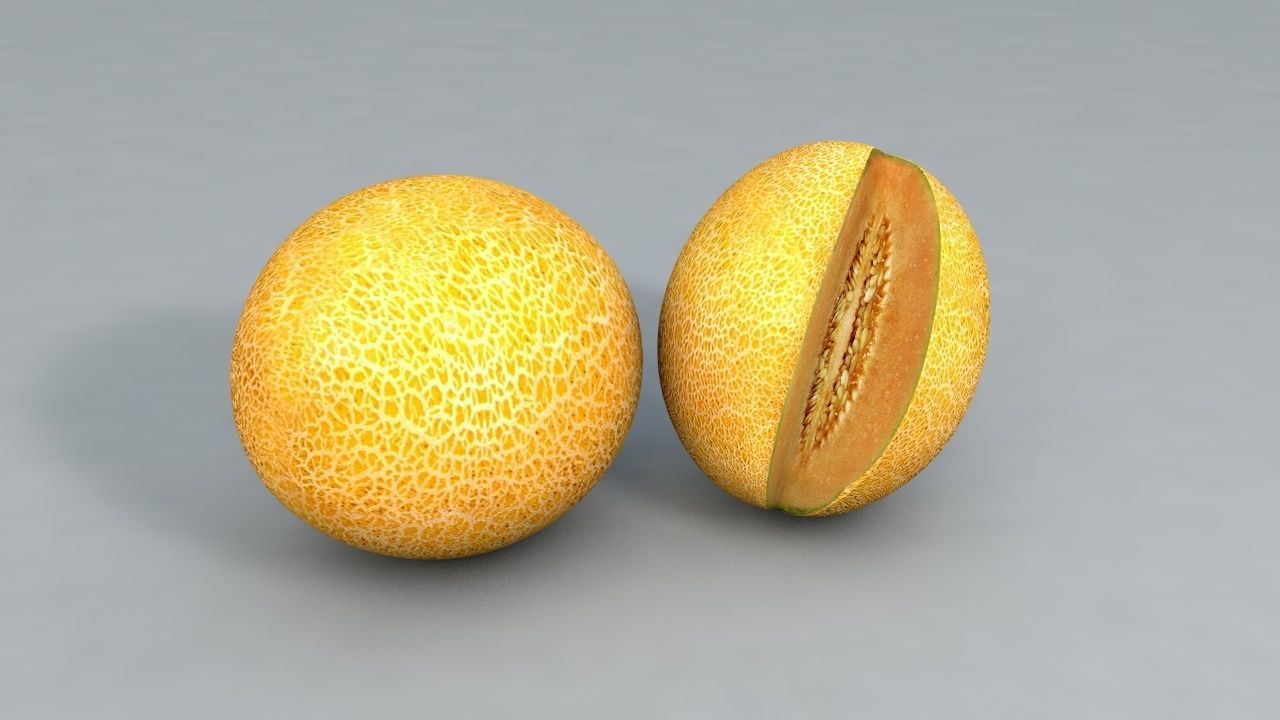 Melon 3D model 3D model | CGTrader