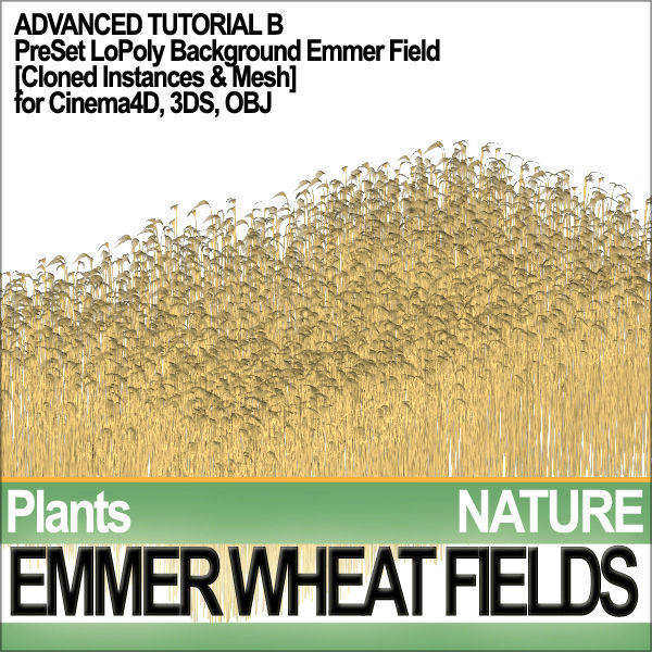 Emmer Wheat Fields Poser DAZ VFX Animation 3D model | CGTrader