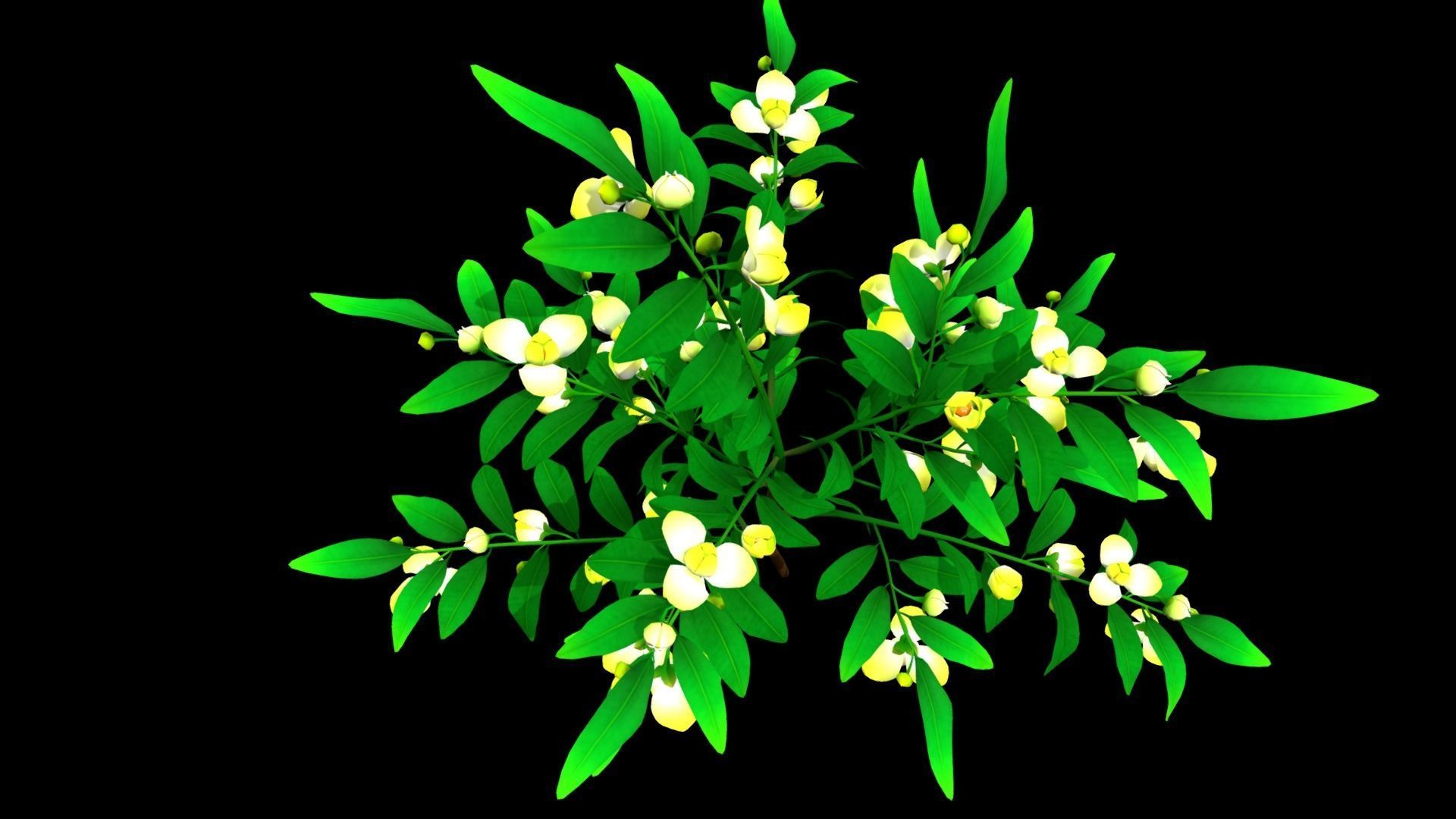 3D model Flower Rumdul VR / AR / low-poly | CGTrader
