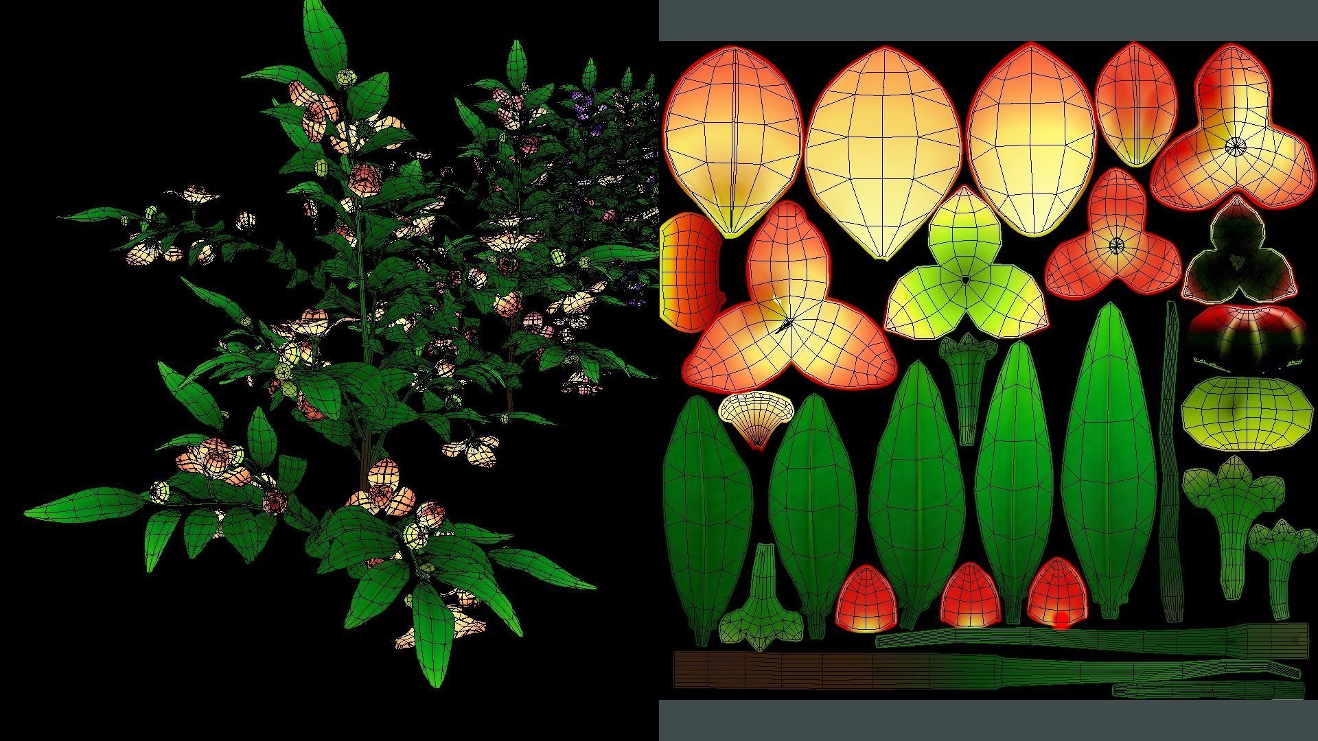 3D model Flower Rumdul VR / AR / low-poly | CGTrader