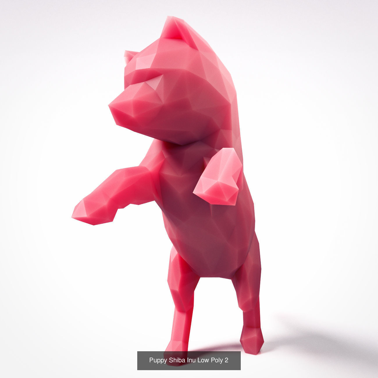 Puppy Shiba Inu Low Poly Pack 3D Model Collection | CGTrader