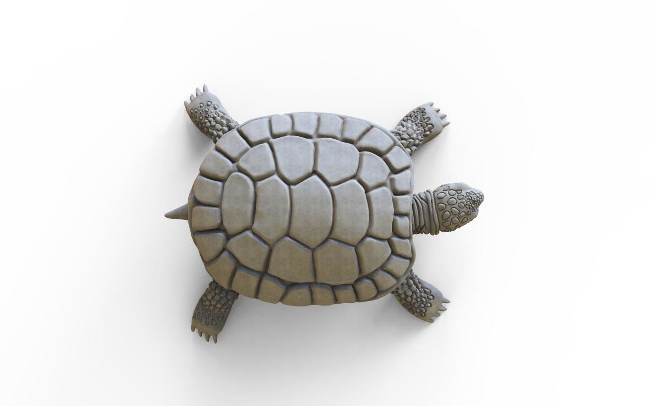 TURTLE TORTOISE 3D model 3D printable | CGTrader