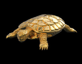 Tortoise 3D Printing Models | CGTrader