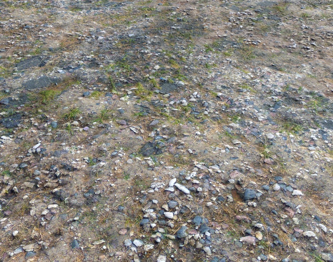 Ground terrain PBR pack 1 Texture | CGTrader