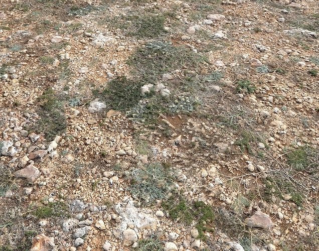 Ground terrain PBR pack 1 Texture | CGTrader