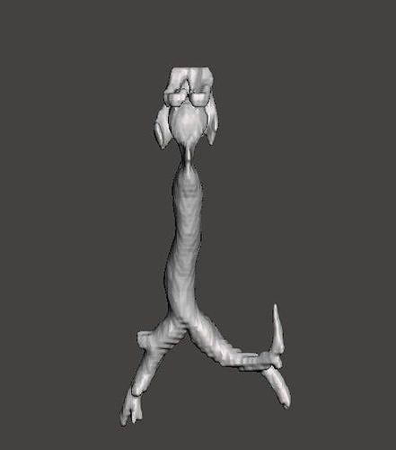 Trachea and bronchi 3D model 3D printable | CGTrader