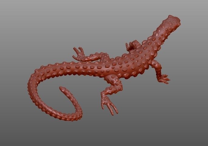 LIZARD 3D model 3D printable | CGTrader