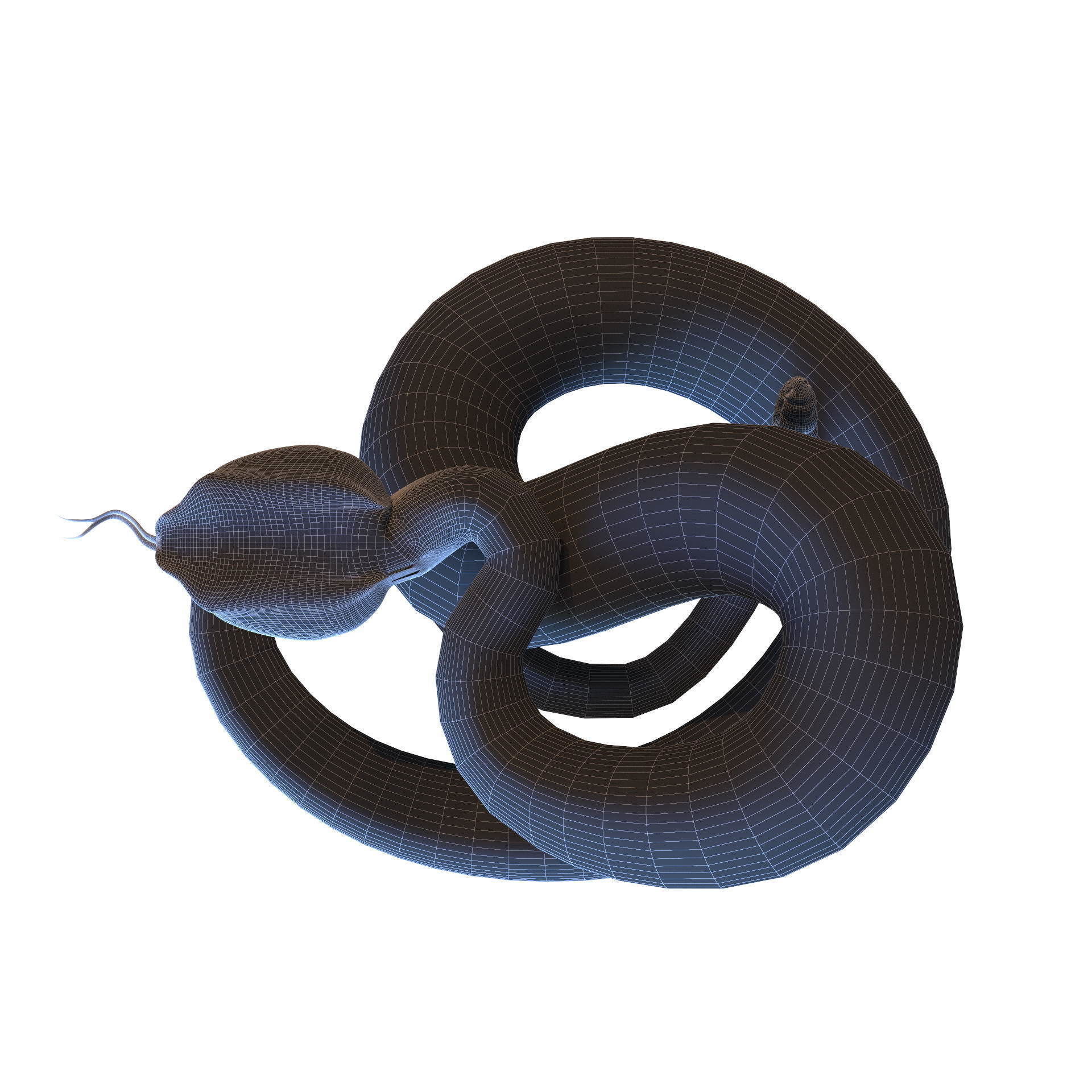 Rattlesnake snake 3D model | CGTrader