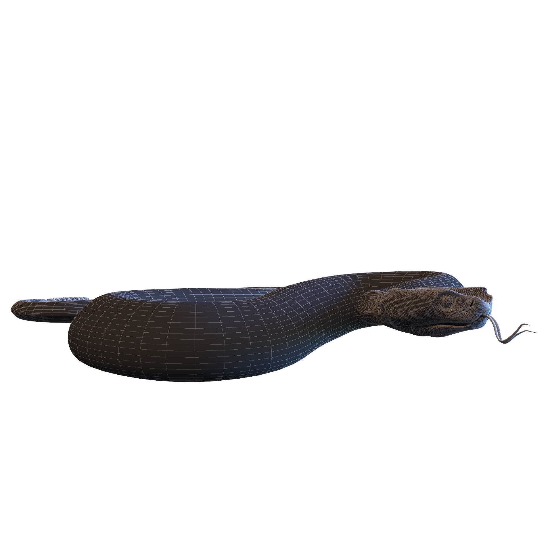 Rattlesnake 3D model | CGTrader