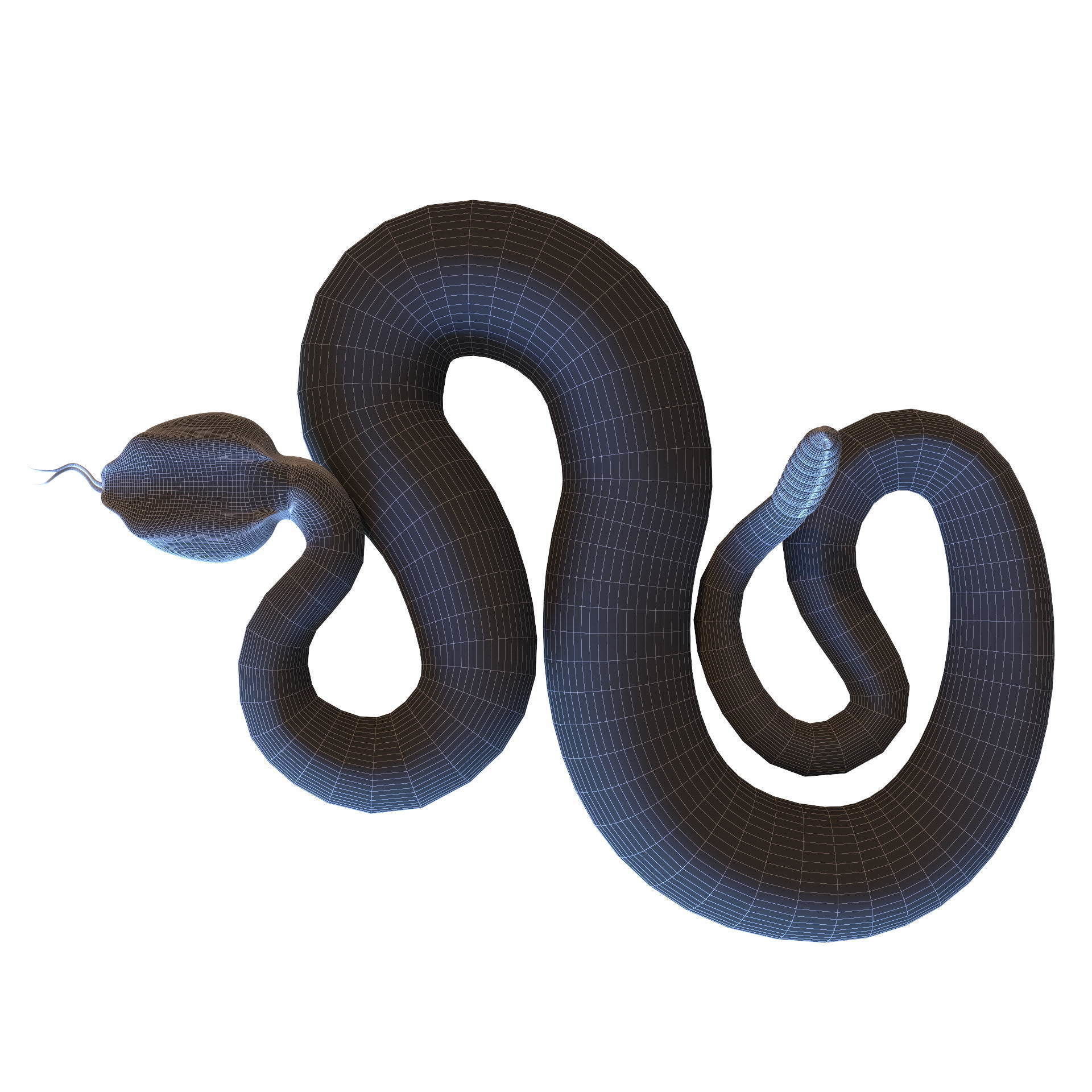 Rattlesnake snake 3D model | CGTrader