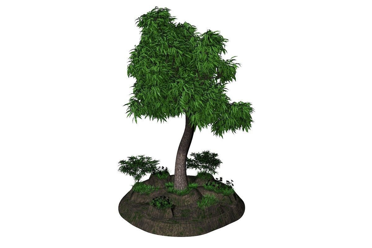 Tree scene 3D model | CGTrader