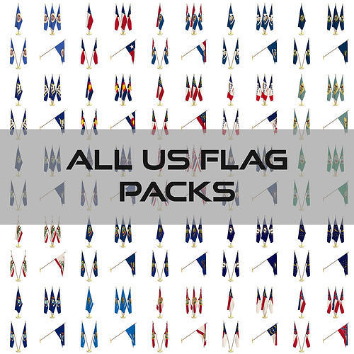 All US States Flag Packs 3D model | CGTrader