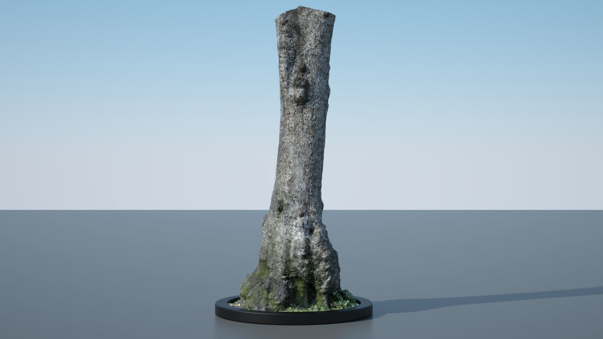Tree Trunk - 11 wood 3D model | CGTrader