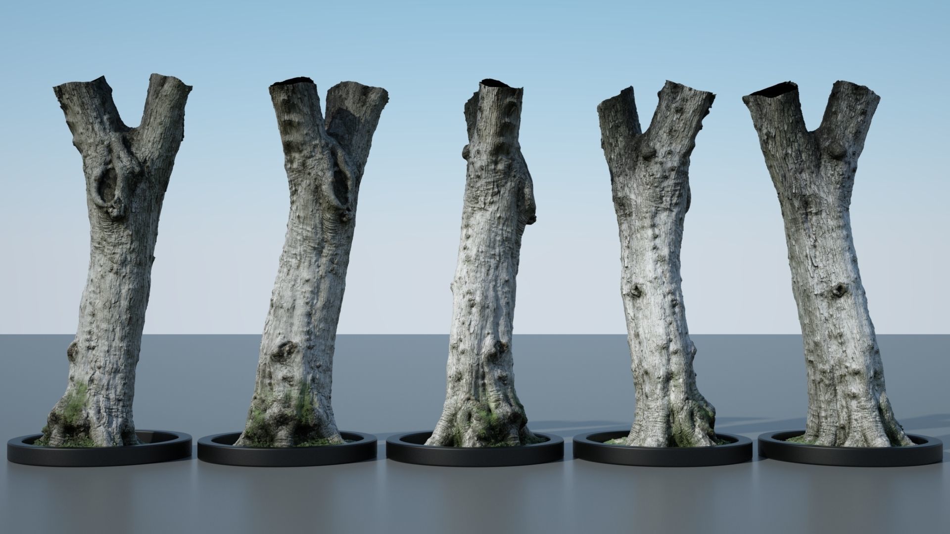 Ultra Realistic Tree Trunk 3D model | CGTrader