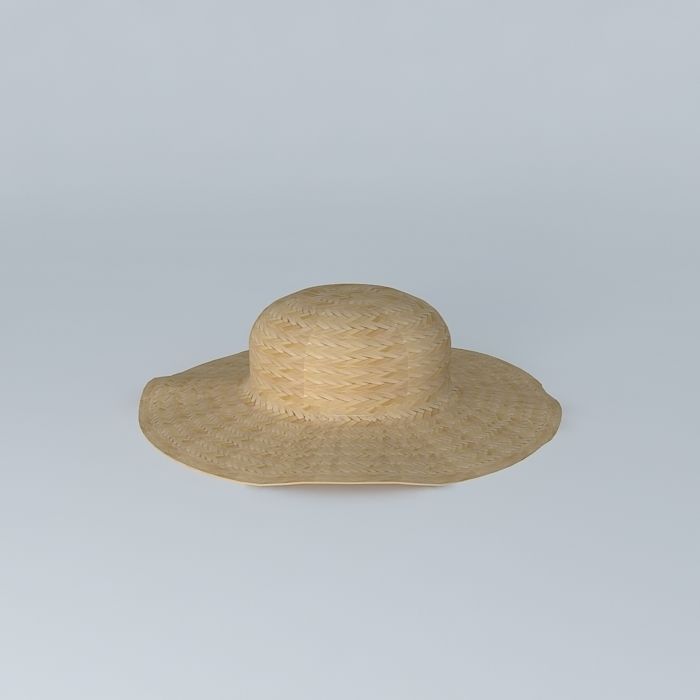 Straw hat free 3D model | CGTrader